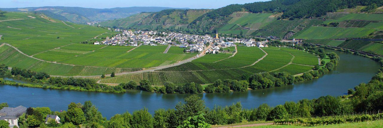Vakantie in de Moezel bij Landal GreenParks